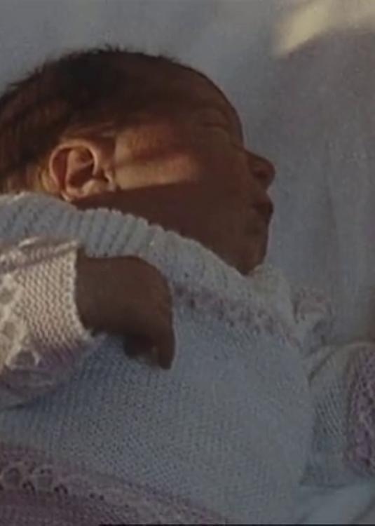 Naissance 1981 Filmaffinity