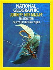 Image gallery for Sea Monsters: Search For The Giant Squid (TV ...