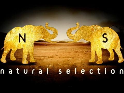 Natural Selection - FilmAffinity