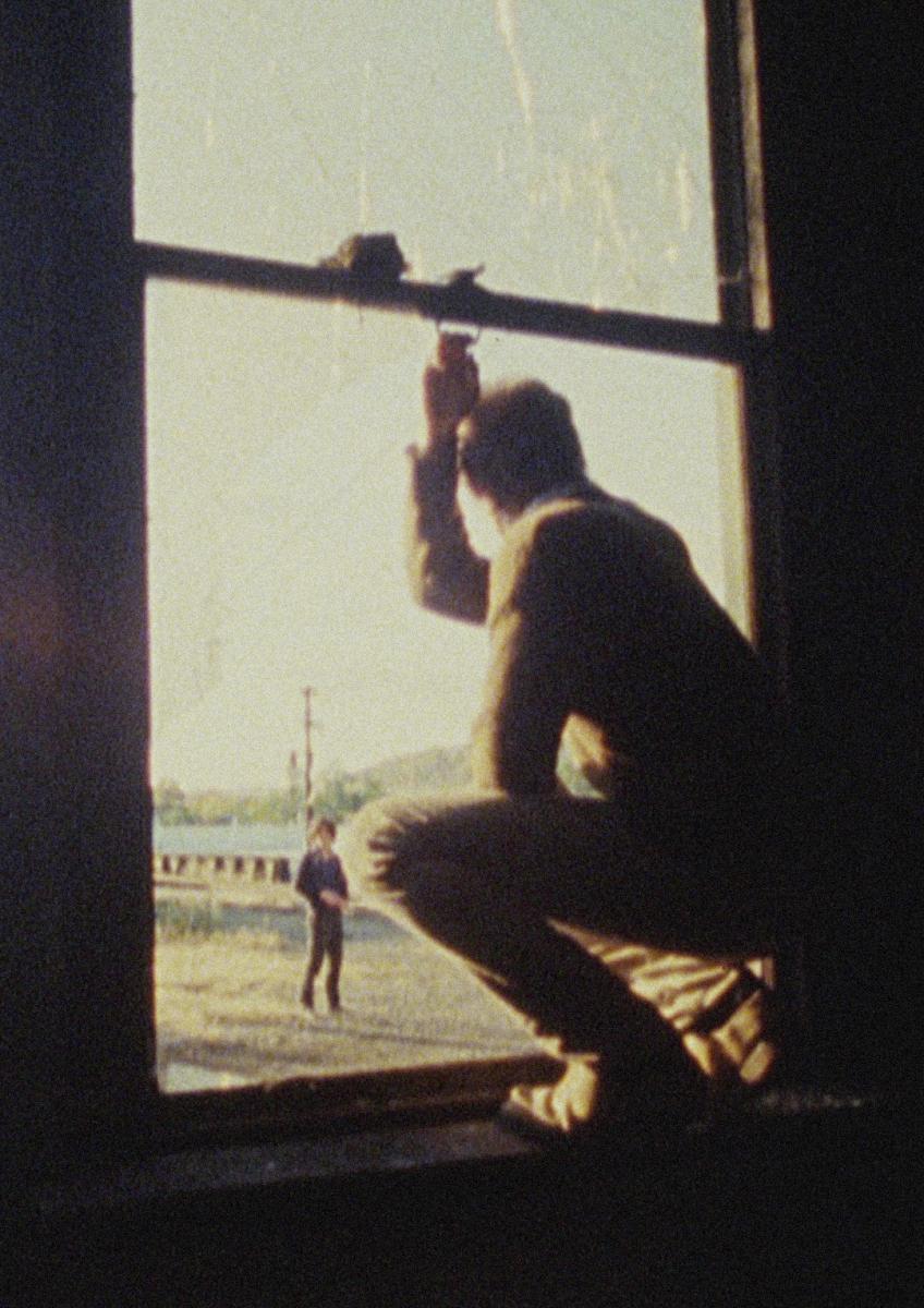 Image gallery for Natural Selection - FilmAffinity