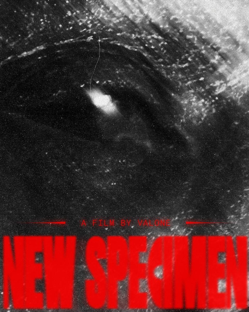 Image gallery for New Specimen (S) - FilmAffinity