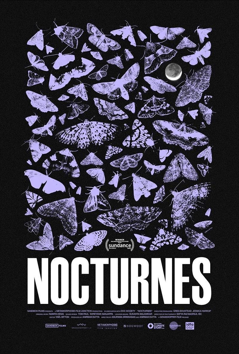 Nocturnes (2024) - FilmAffinity
