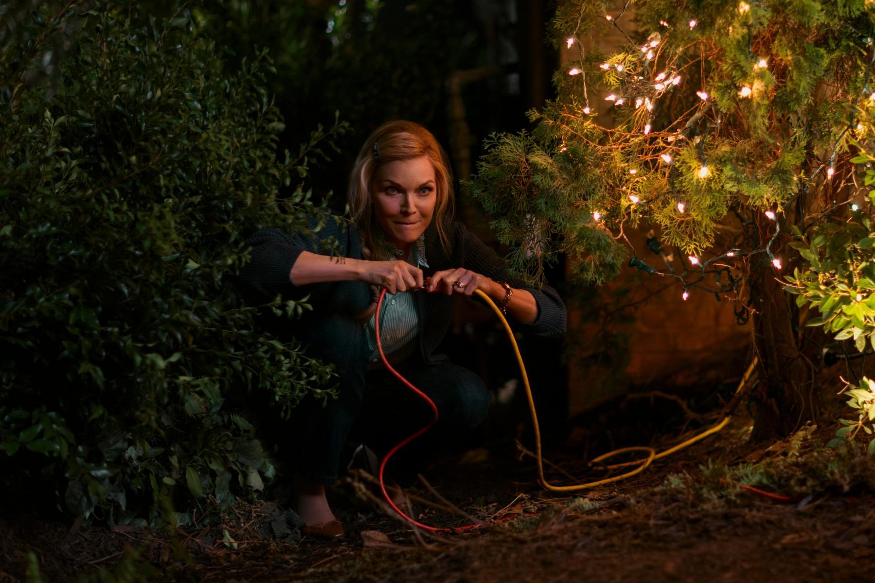 Sección visual de ¡Vaya Navidad! - FilmAffinity