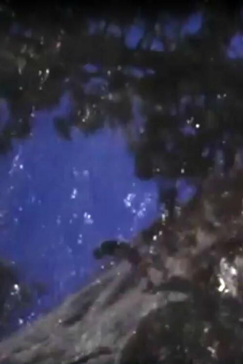 Old Redwood Series (1979) - FilmAffinity