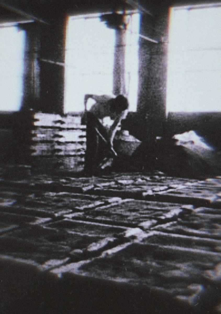 Image gallery for Opus 40 (S) - FilmAffinity