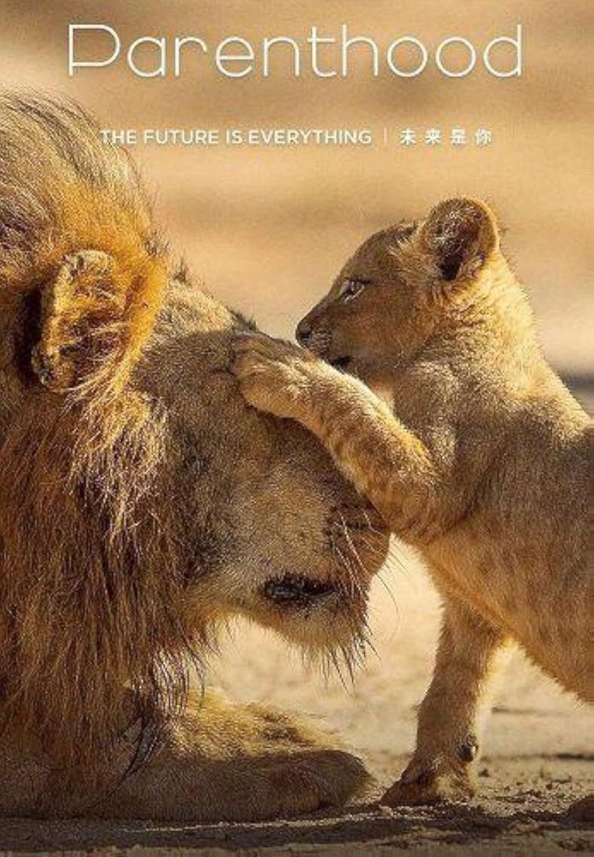 Parenthood (Miniserie de TV) (2025) - FilmAffinity