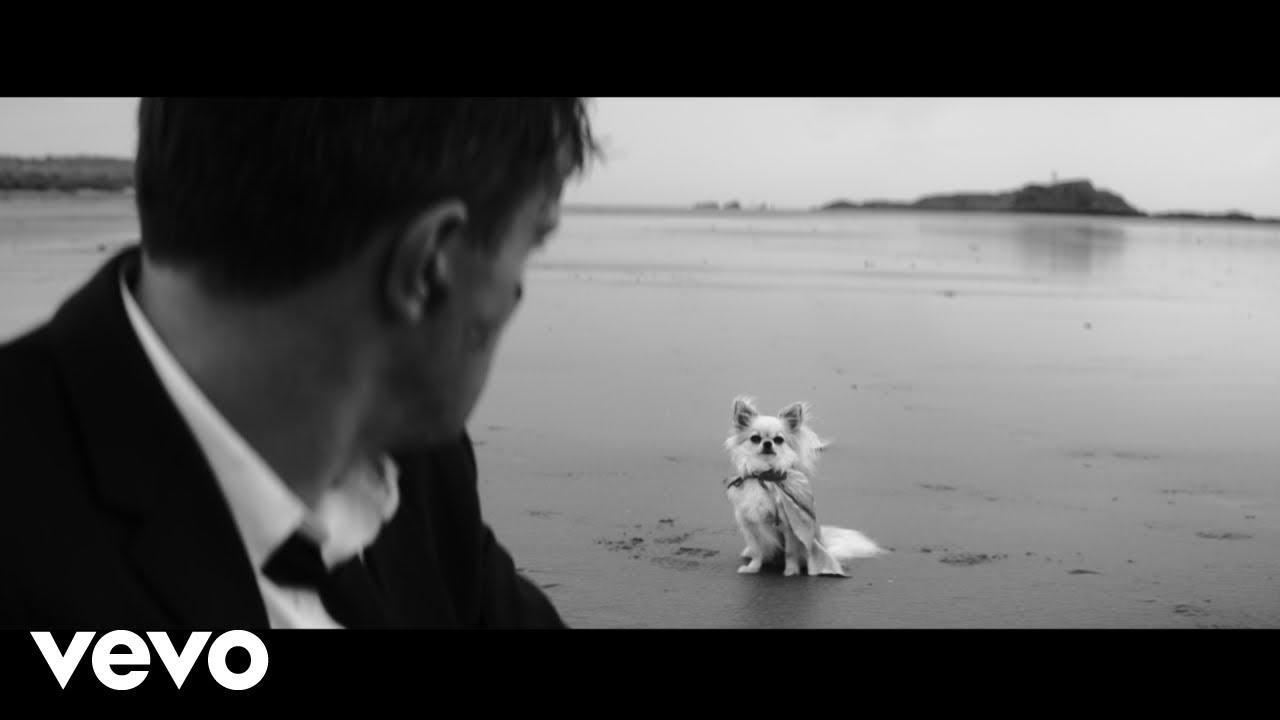Image gallery for Phoebe Bridgers: Savior Complex (Music Video ...