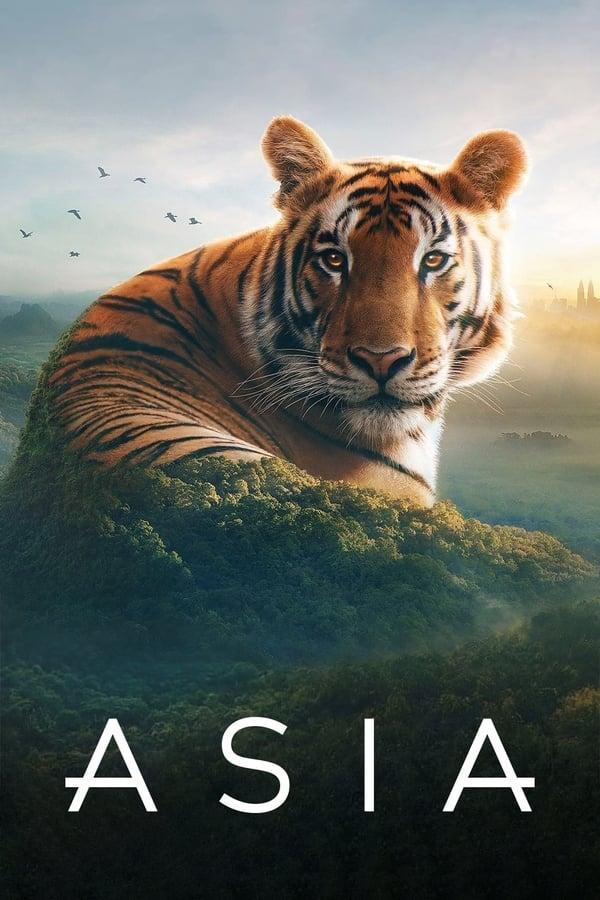 Asia (Serie de TV) (2024) - FilmAffinity