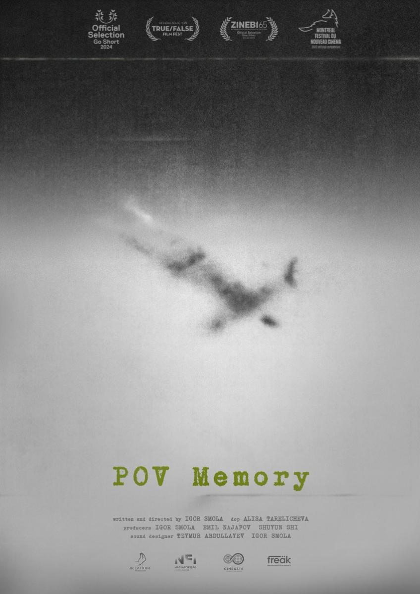 POV Memory (S) (2023) - FilmAffinity