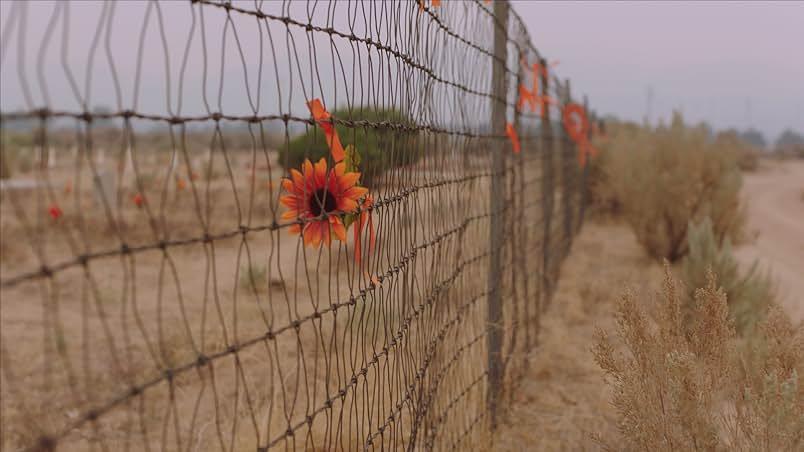 Sección visual de Remaining Native - FilmAffinity