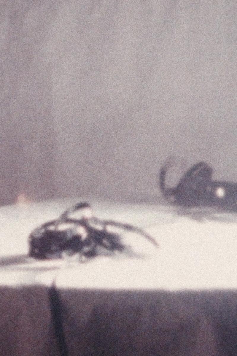 Sección visual de Requiem (C) - FilmAffinity