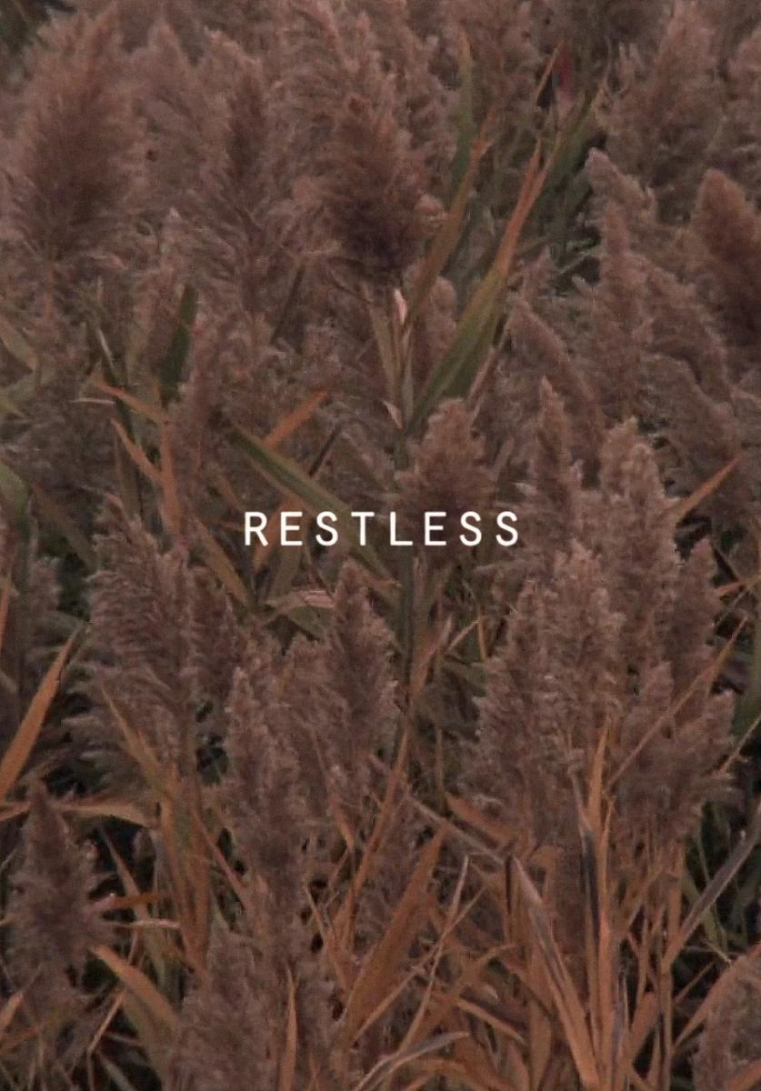 Restless (C) (2017) - FilmAffinity