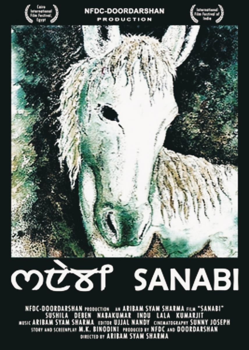 Sanabi (1994) - FilmAffinity