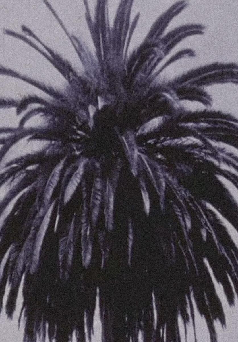 Image gallery for Self-Portrait As A City (S) - FilmAffinity