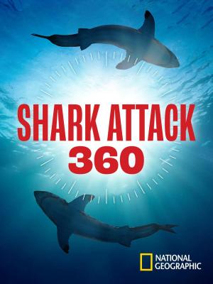 Shark Attack 360 (Miniserie de TV) (2024) - FilmAffinity