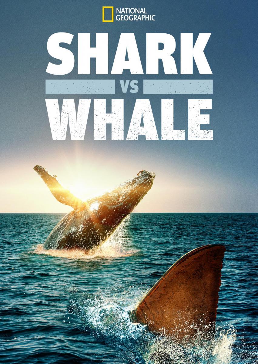 Shark vs. Whale (TV) (2020) - FilmAffinity