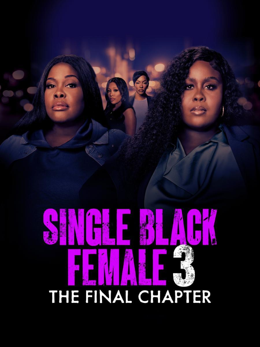 Single Black Female 3: The Final Chapter (TV) (2025) - FilmAffinity