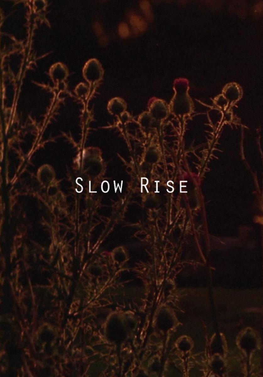 Slow Rise (C) (2014) - FilmAffinity