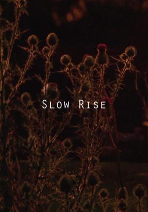 Slow Rise (C) (2014) - FilmAffinity