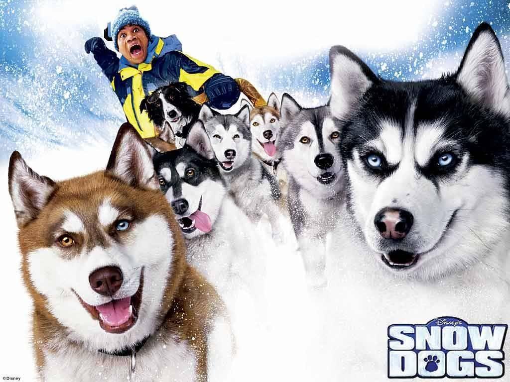 Image gallery for Snow Dogs - FilmAffinity
