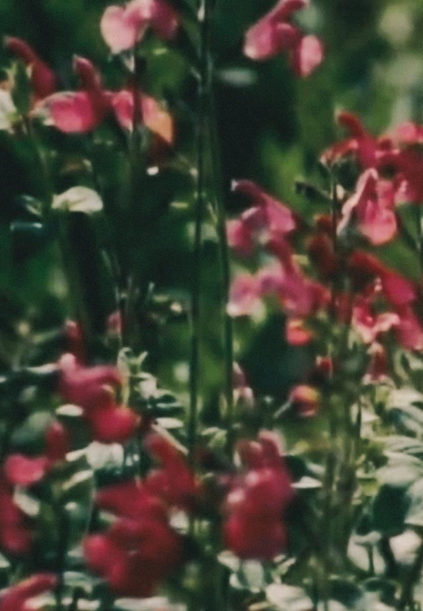 Image gallery for Sources (S) - FilmAffinity