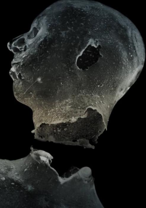 Squame (C) (2015) - FilmAffinity