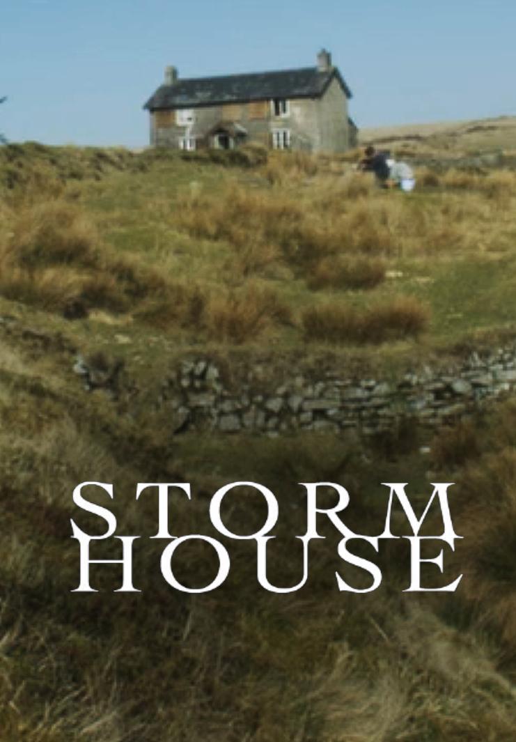 Storm House (C) (2011) - FilmAffinity