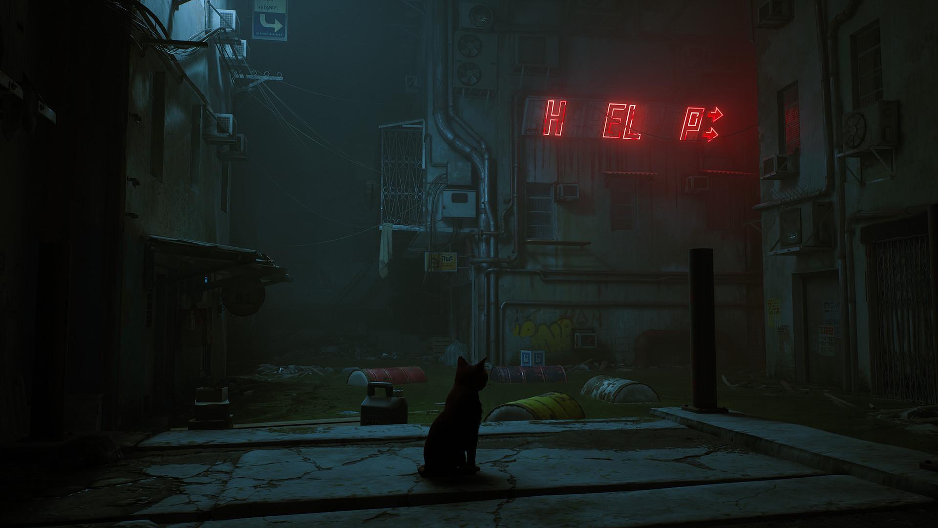 Image gallery for Stray - FilmAffinity