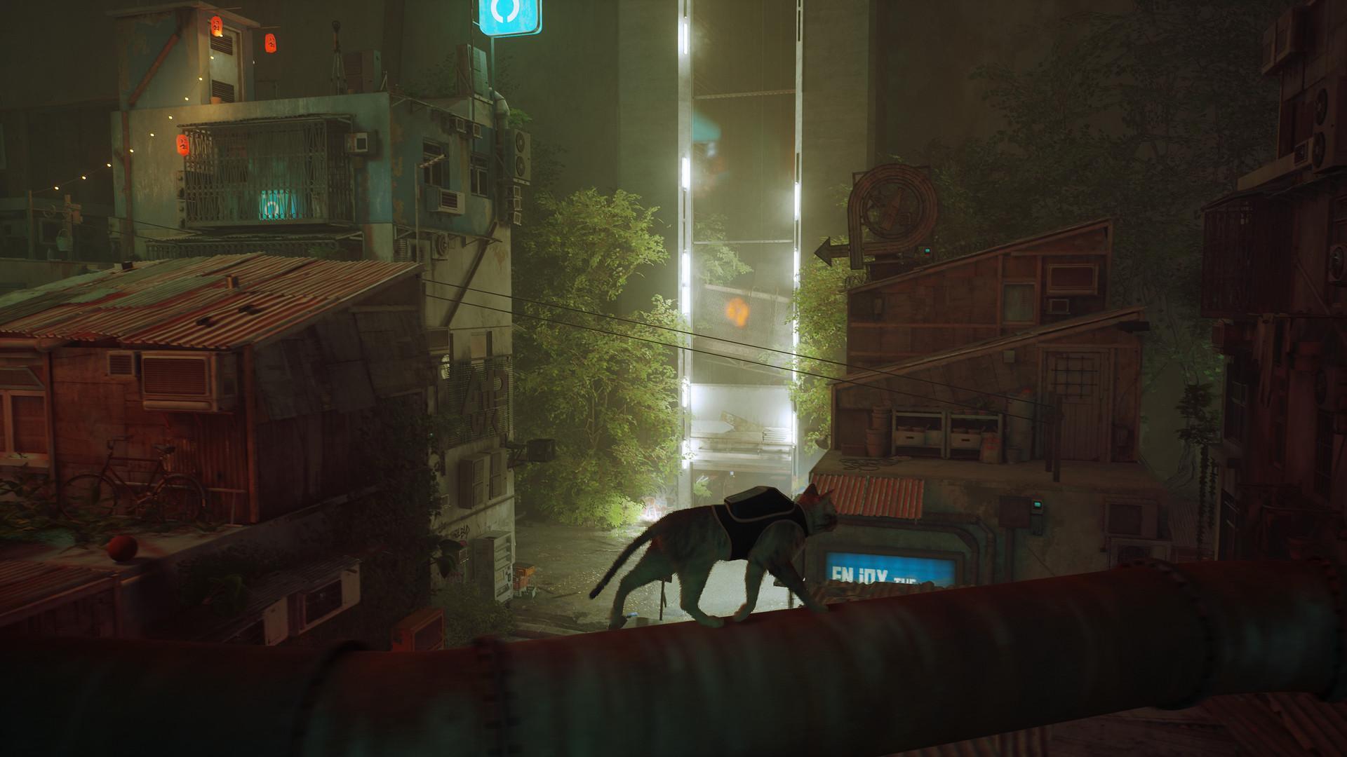 Image gallery for Stray - FilmAffinity