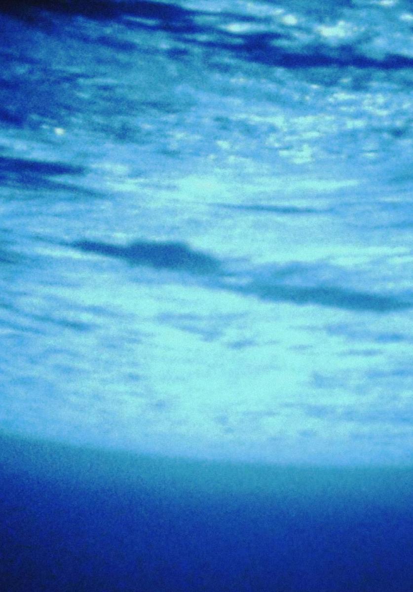 The Dark Room (C) (2001) - FilmAffinity