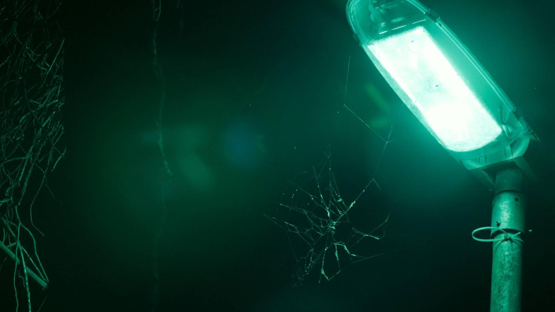 Image gallery for The Dark Side of Bright Nights - FilmAffinity