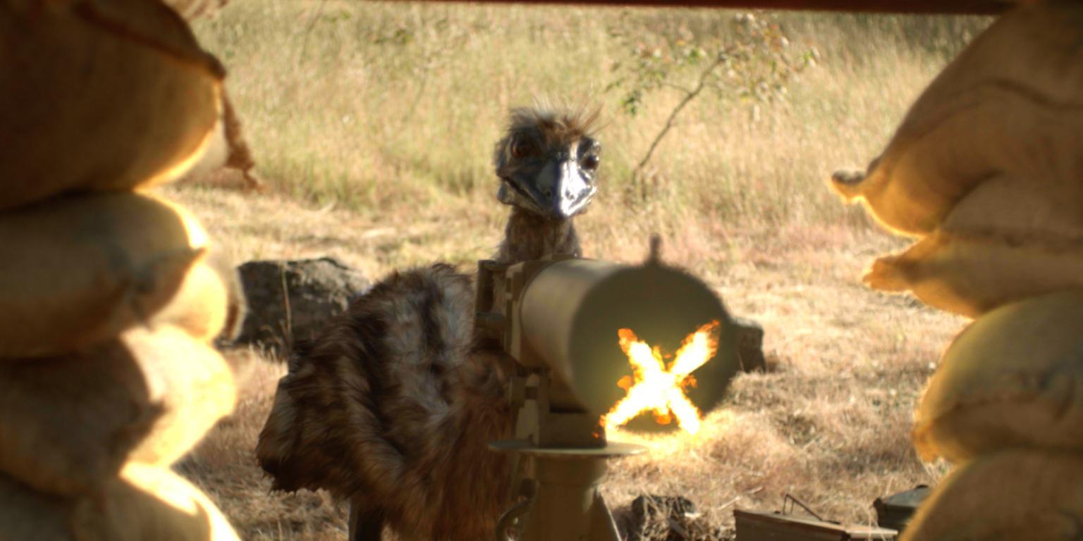 Image gallery for The Emu War - FilmAffinity