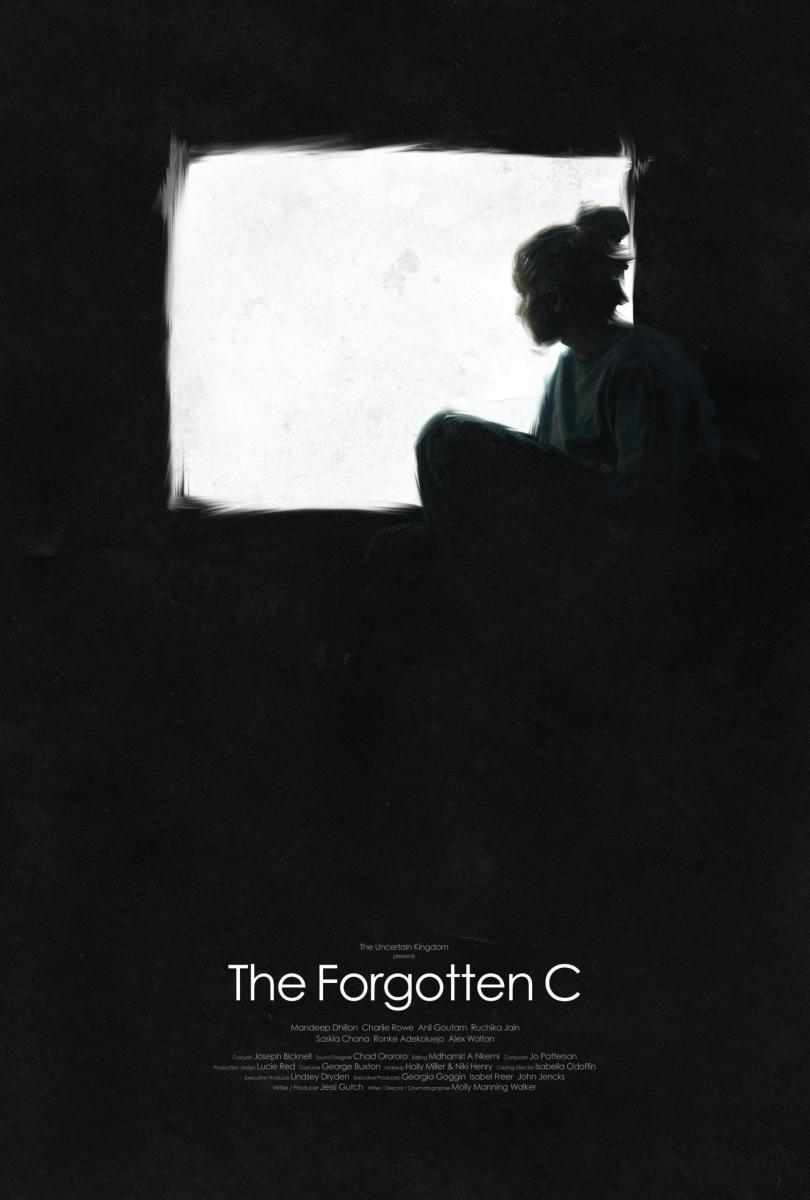 Image gallery for The Forgotten C (S) - FilmAffinity