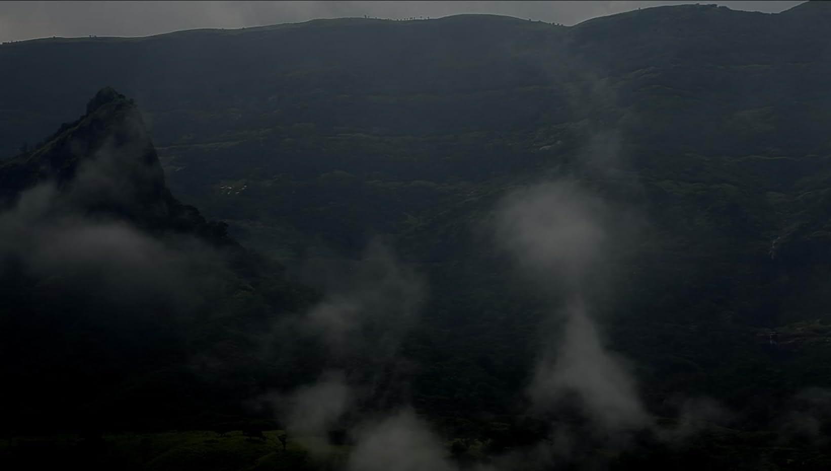 Image gallery for The Last Mango Before the Monsoon (S) - FilmAffinity