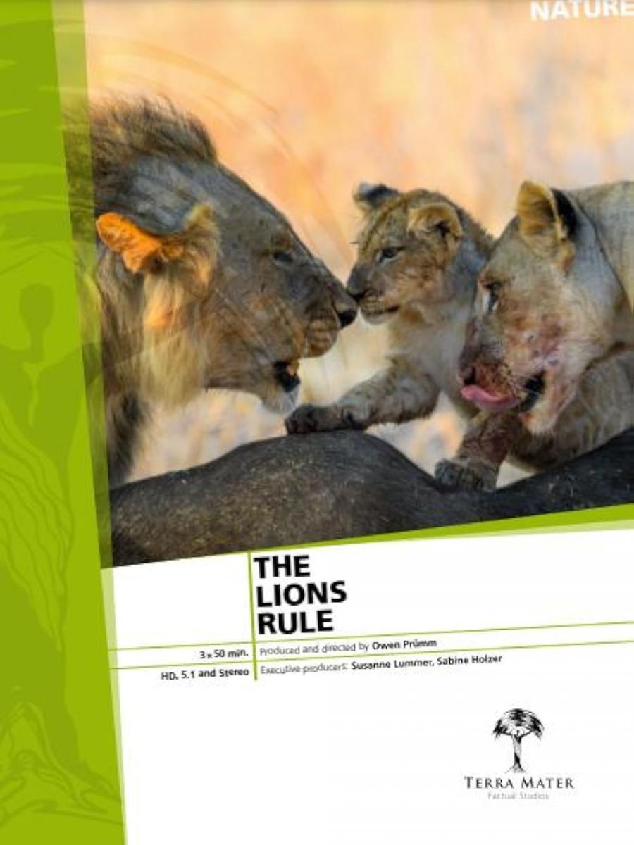 Los leones mandan (Miniserie de TV) (2017) - FilmAffinity