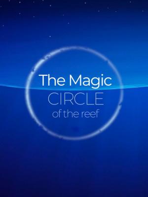 The Magic Circle of the Reef (Miniserie de TV) (2023) - FilmAffinity
