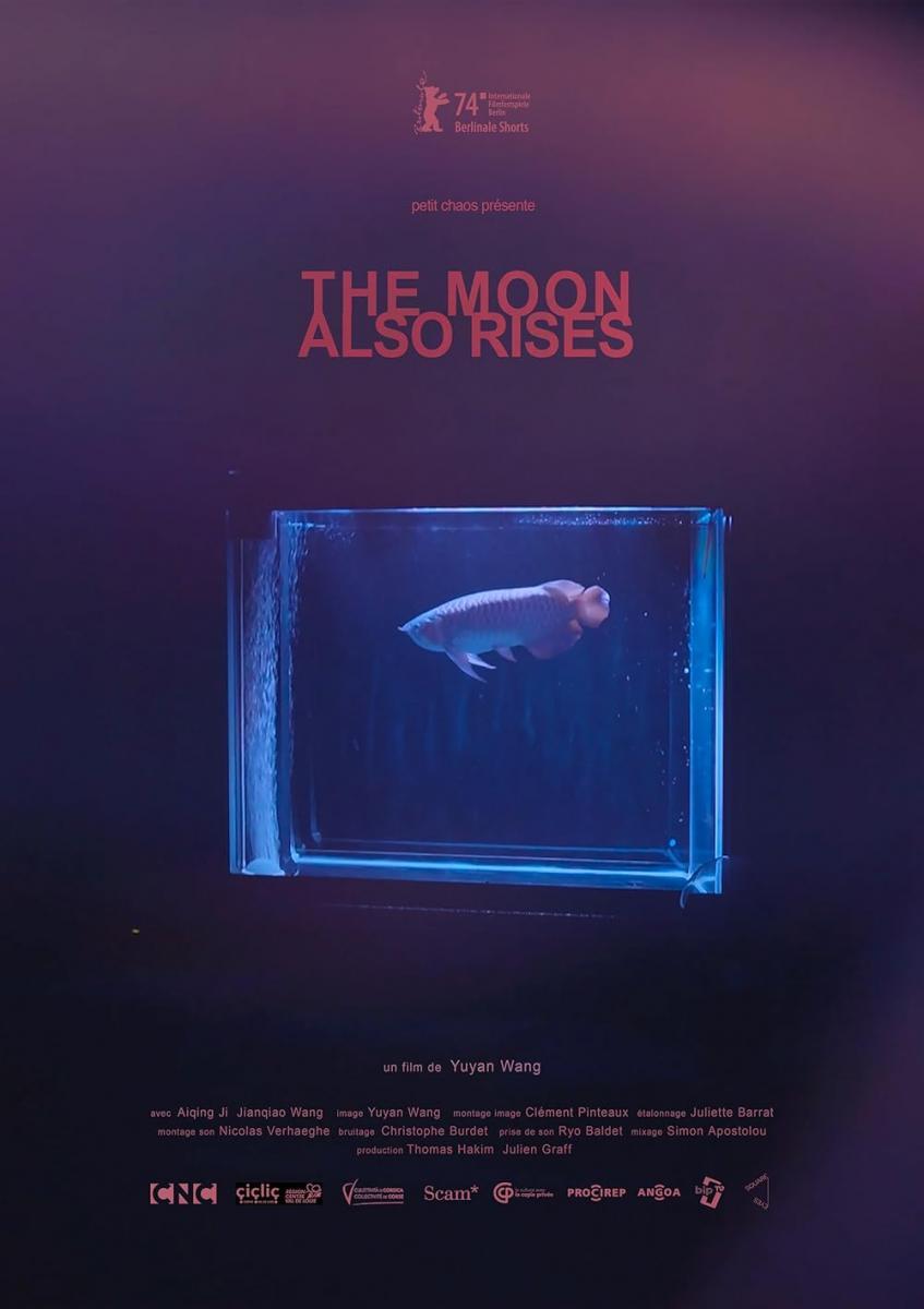 The Moon Also Rises (C) (2024) - Filmaffinity