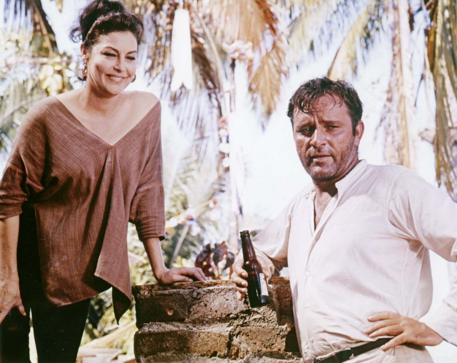 Sección Visual De La Noche De La Iguana Filmaffinity