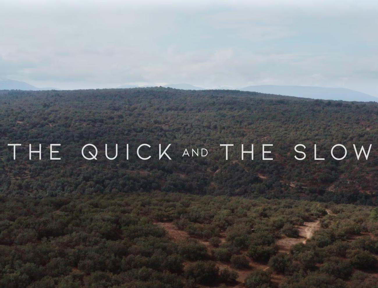Image gallery for The Quick and The Slow - FilmAffinity