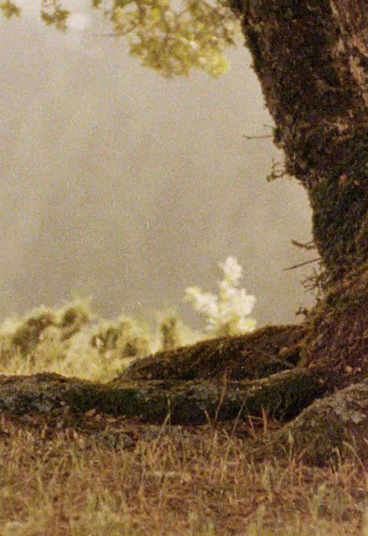 Image gallery for The Red Thread (S) - FilmAffinity