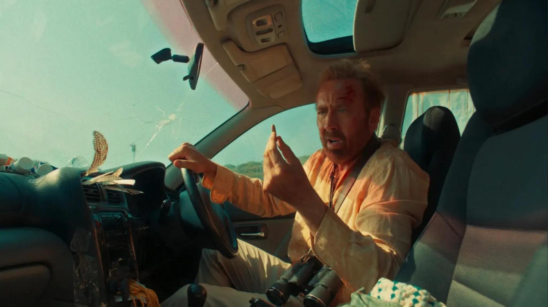 Image gallery for The Surfer - FilmAffinity