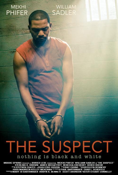 The Suspect (2013) - FilmAffinity