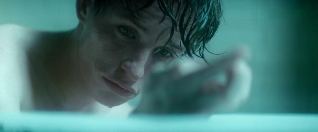 Image gallery for The Theory of Everything - FilmAffinity