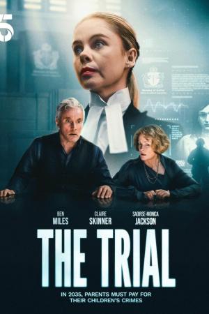 The Trial (TV) (2025) - FilmAffinity
