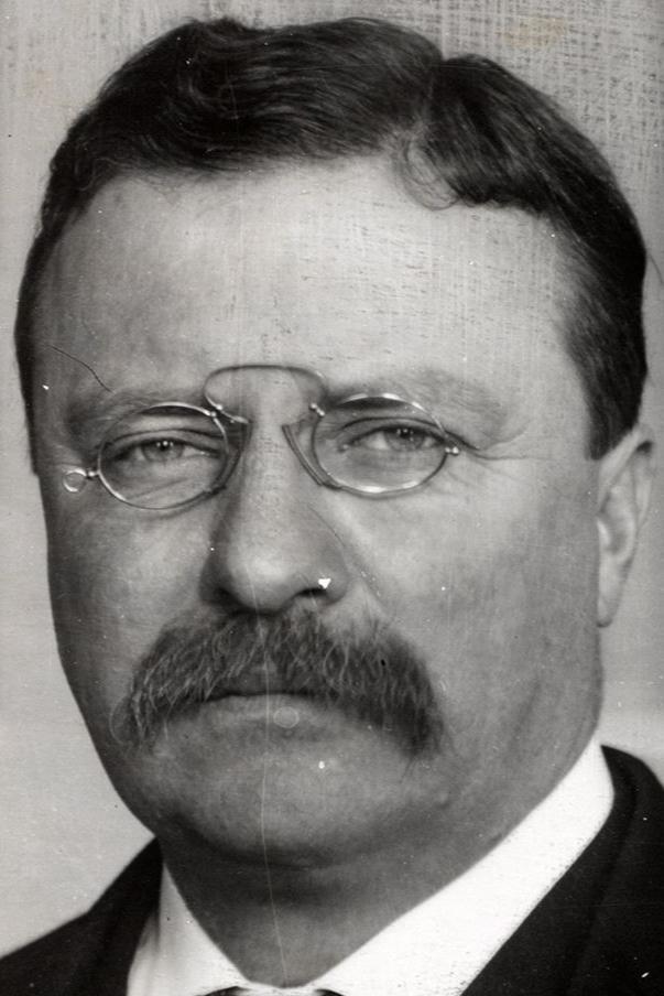 Theodore Roosevelt - FilmAffinity