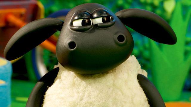 Image gallery for Timmy Time (TV Series) - FilmAffinity