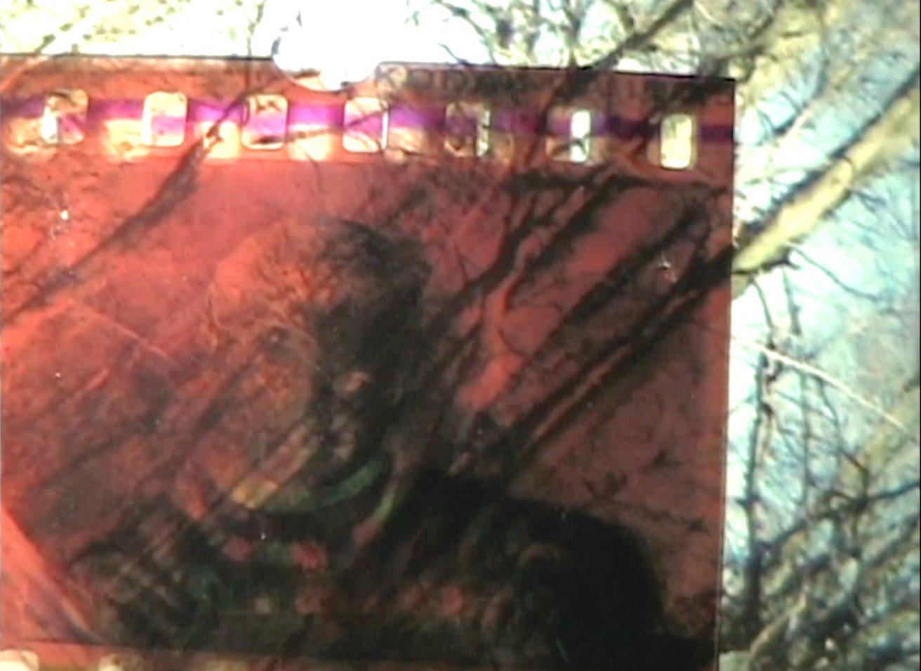 Sección visual de Tinsman Road - FilmAffinity