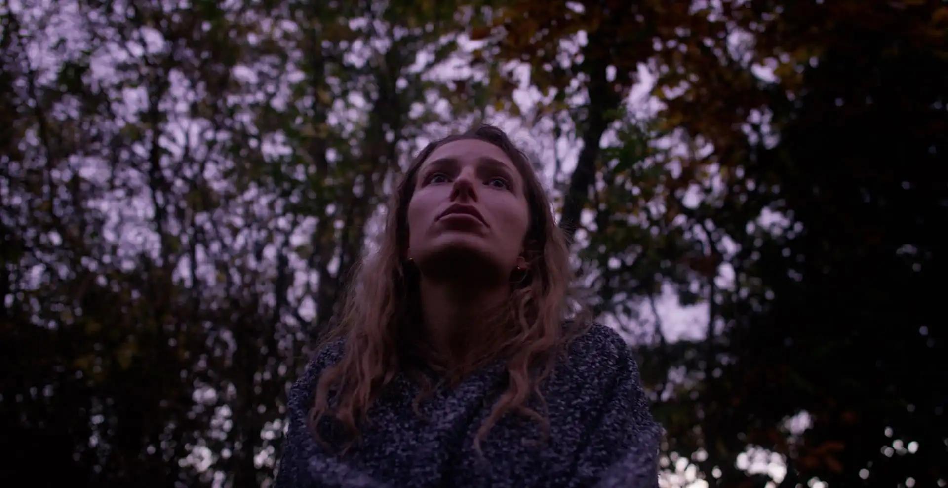 Sección visual de Viral Haunt - FilmAffinity