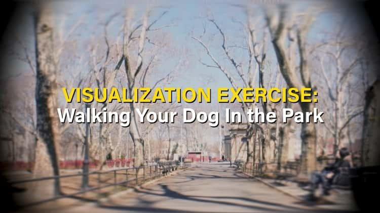 Visualization Exercise: Walking Your Dog in the Park (C) (2018 ...