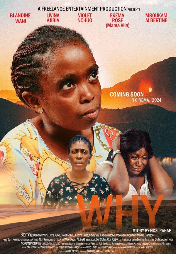 Why (2024) - FilmAffinity